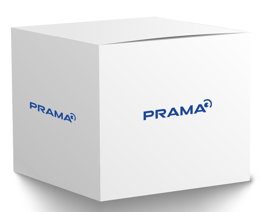 (STQC) Prama 4MP IP Bullet Camera PT-NC140D3-WNM(D2)